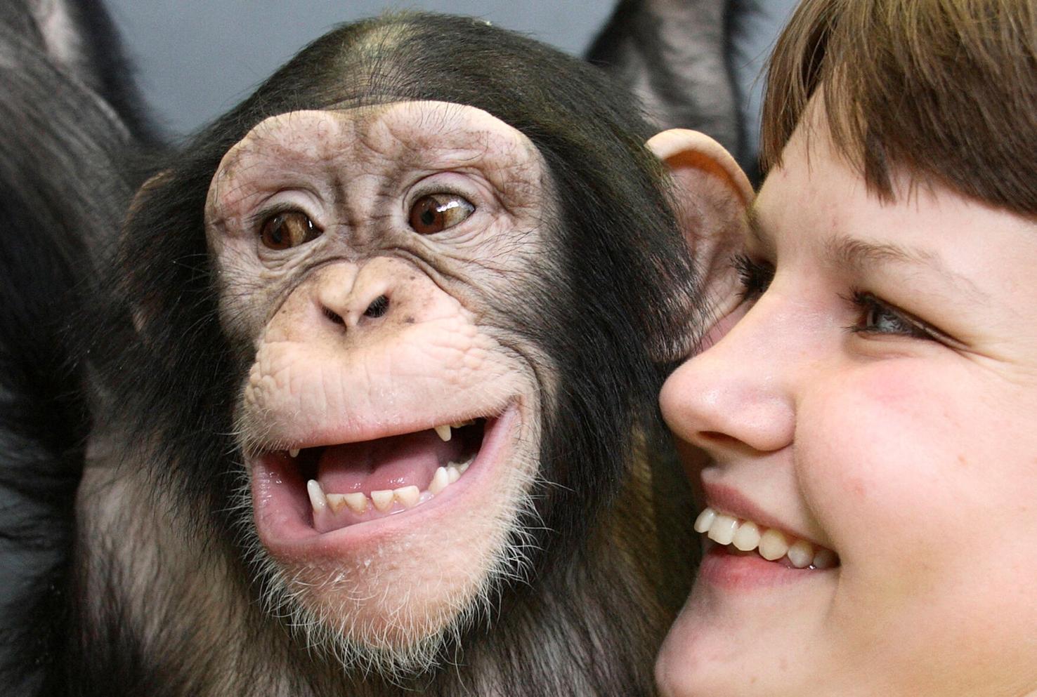 Humans and apes show similar rhythmic pattern in laughter