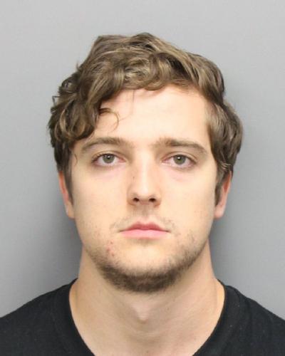 Warrant: Carrollton man left puppy in car for hours, killing it | News ...