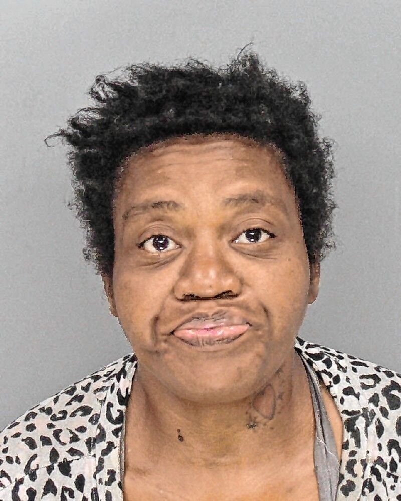 Homeless woman charged after early-morning Publix incident | Police ...