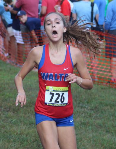 County 7.JPG | | mdjonline.com