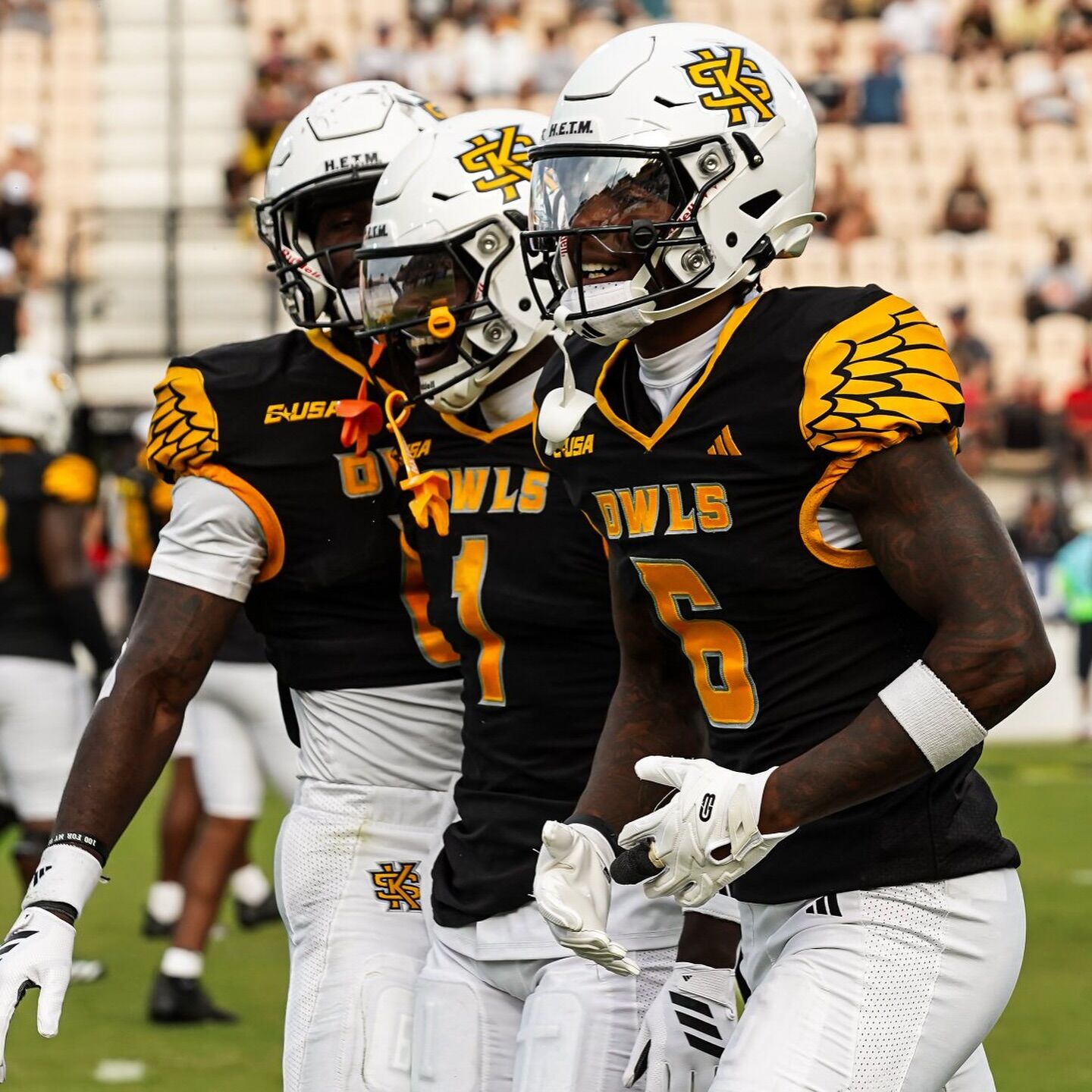 Kennesaw State beats Liberty; advances to CUSA title game | Cobb ...
