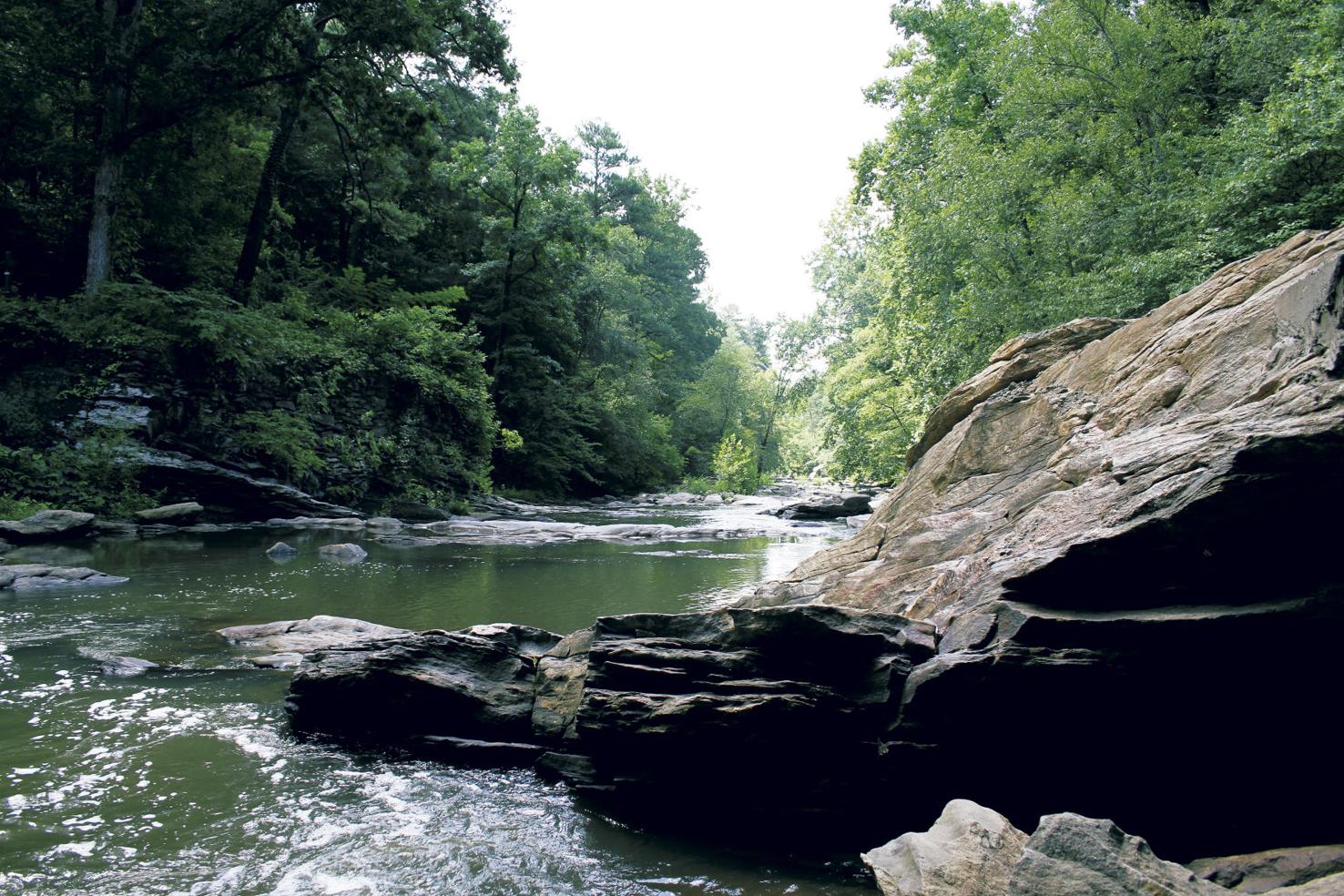 Everything you need to know about 4 of Cobb’s best fishing spots | Cobb ...