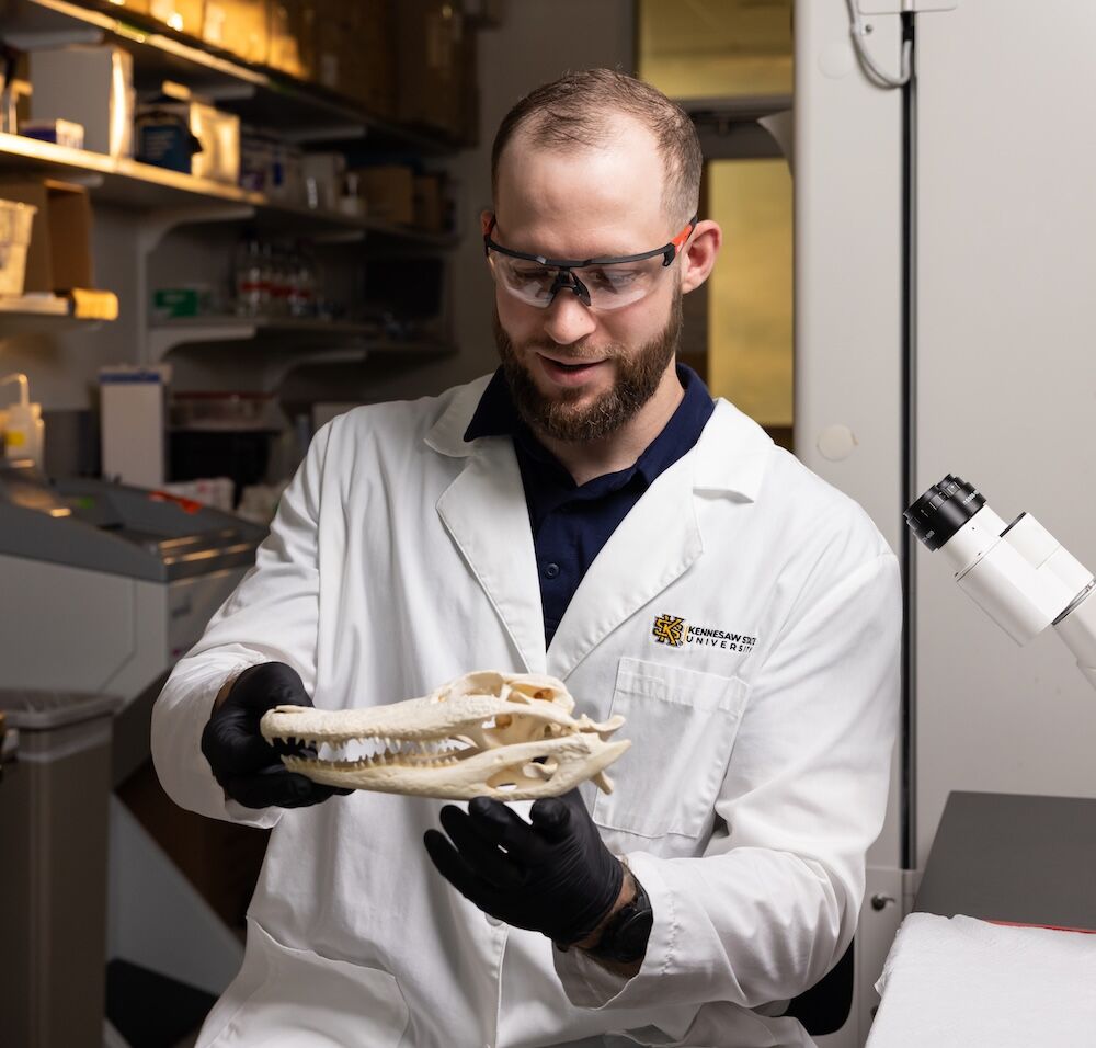 KSU graduate student breaks ground with alligator research | Education ...