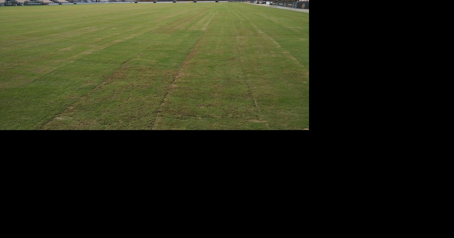 Fifth Third Bank Stadium gets new playing surface days before opening ...