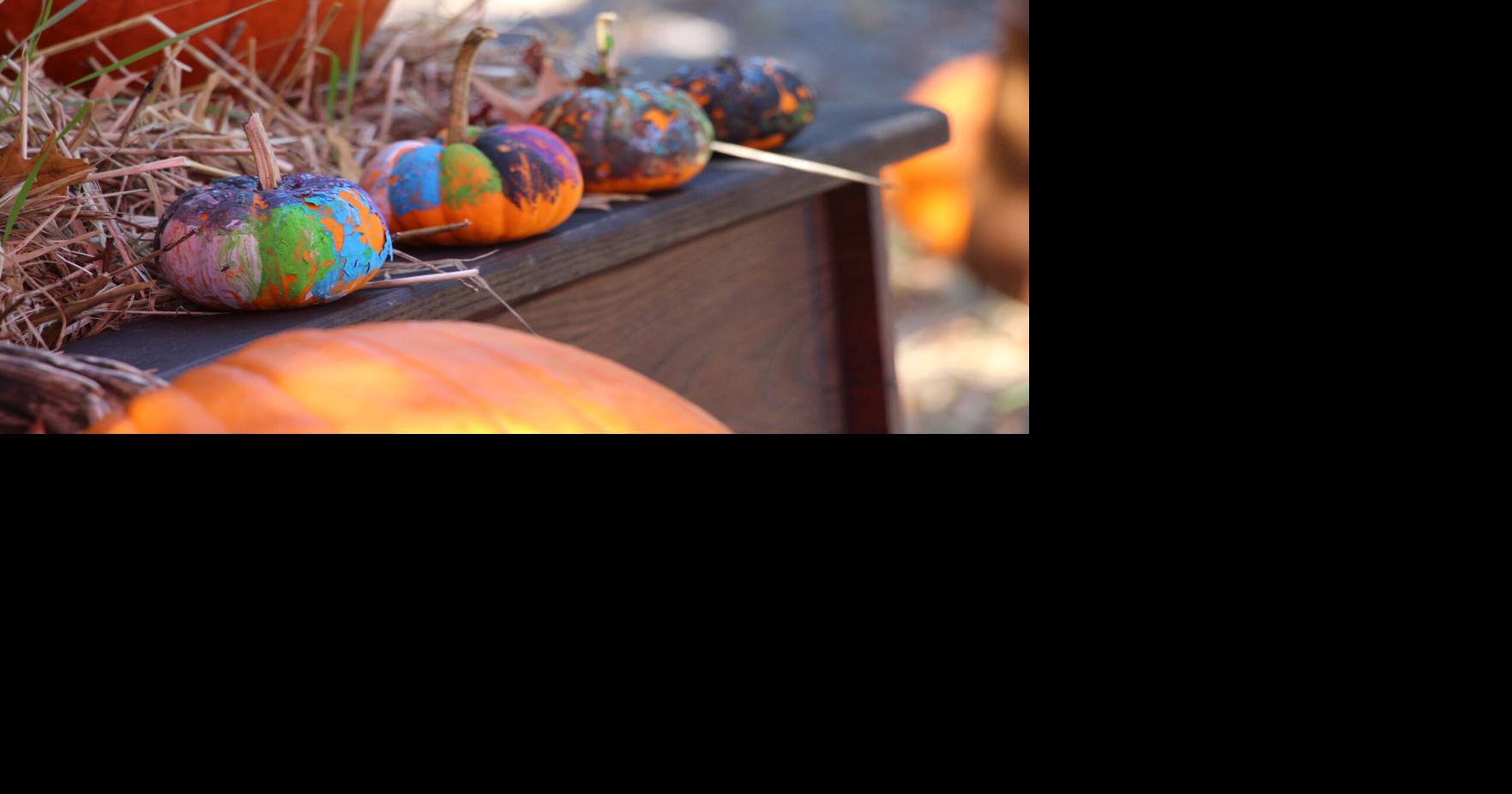 six flags halloween 2.jfif | | mdjonline.com