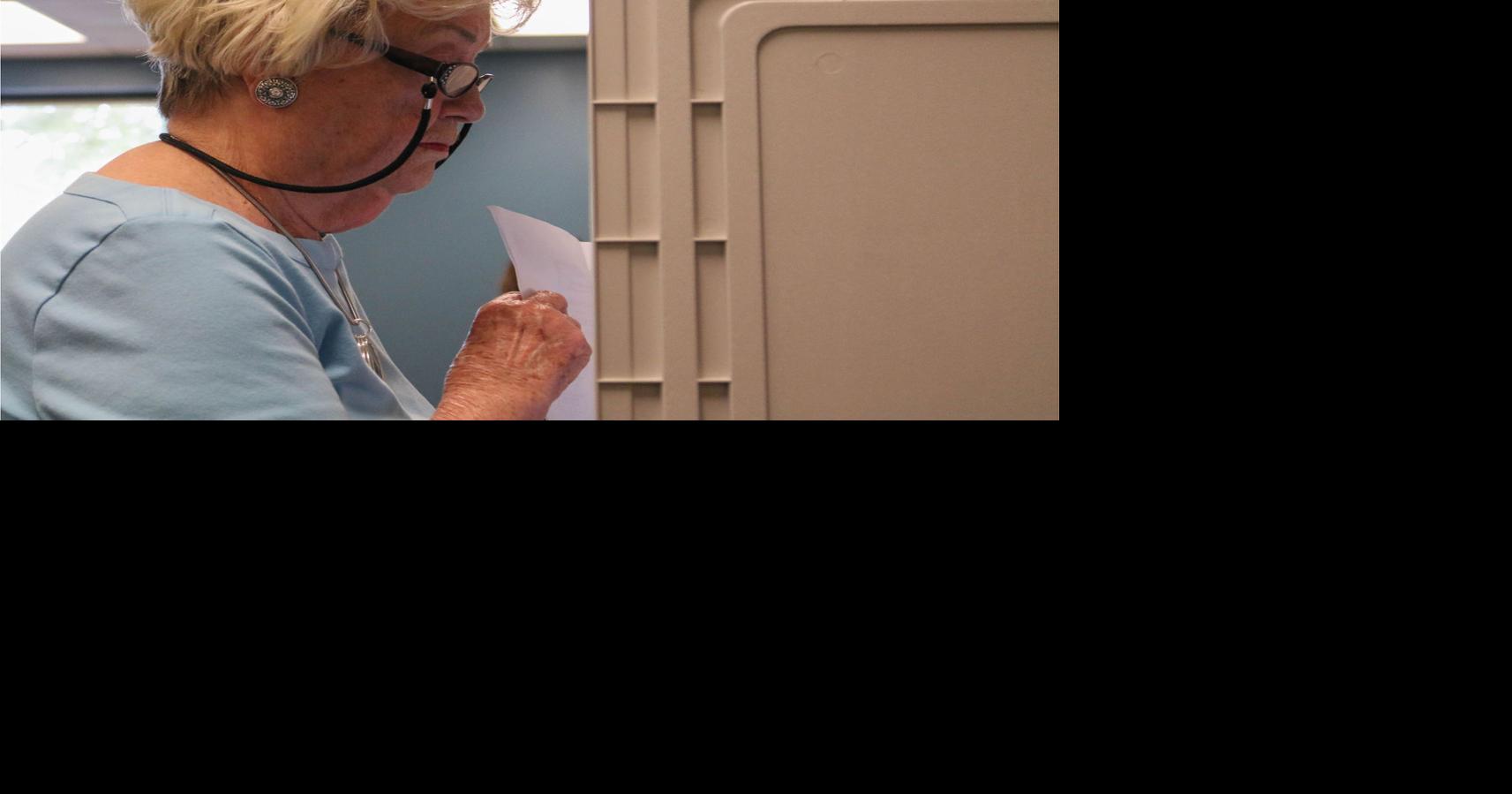 Voting precinct changes could get Cobb commissioner nod | News ...