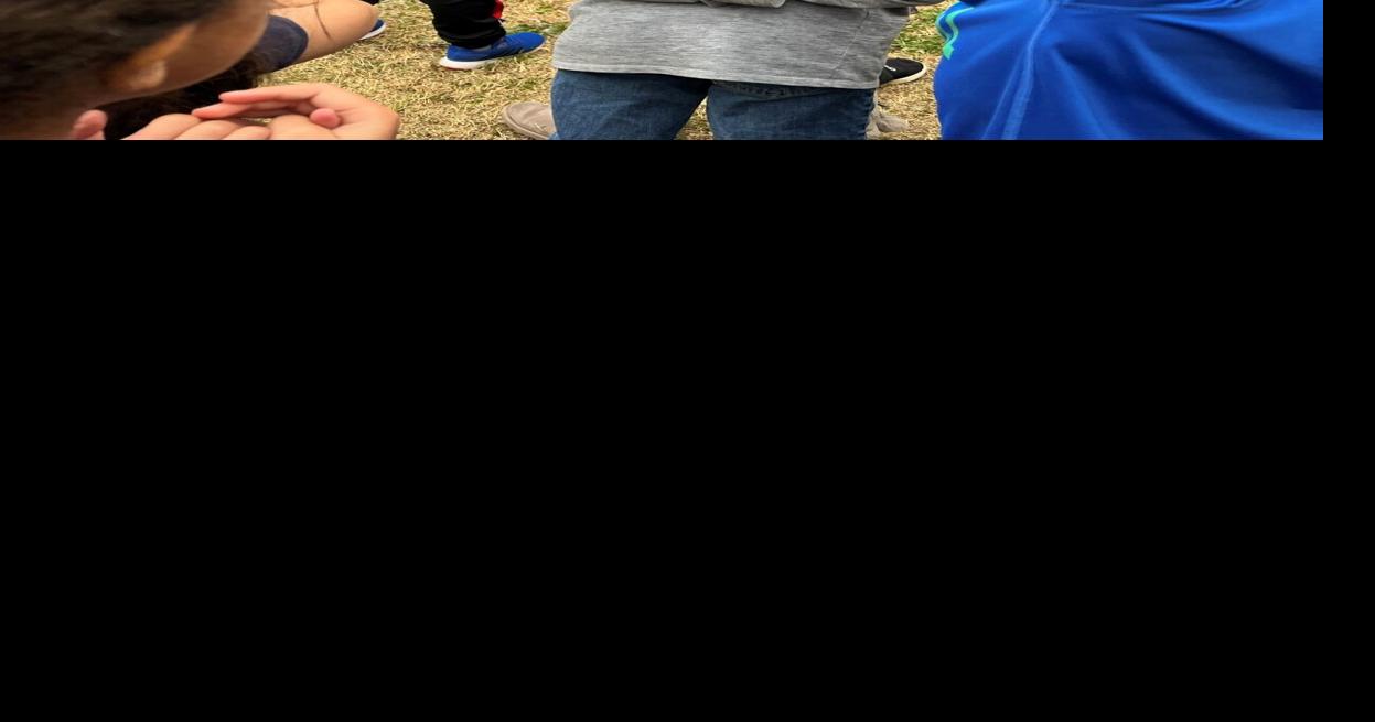 New Brumby Elementary mural reminds kids to dream big | Education ...