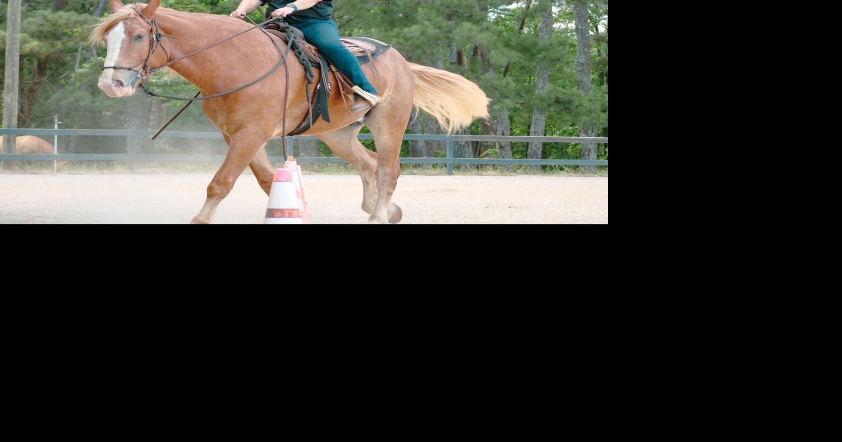 Cobb sheriff holds horseback tryouts | Police Fire | mdjonline.com