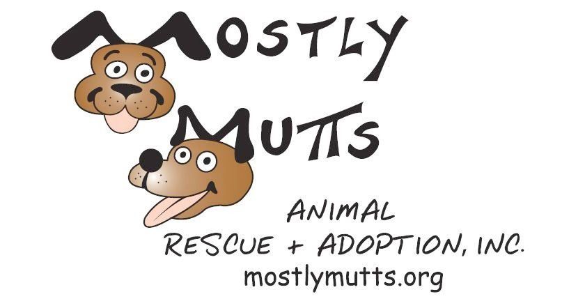 Mostly Mutts Animal Rescue helps save dozens of Dachshunds seized from ...
