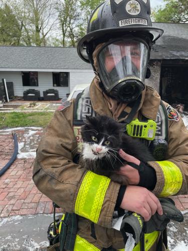 ec fore2.jpeg | | mdjonline.com