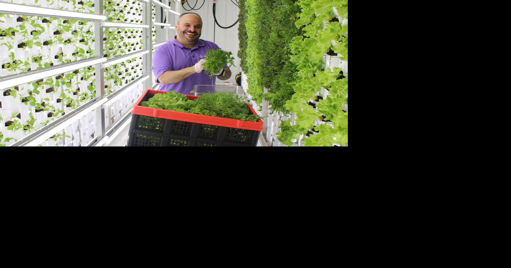 'Farm to Table': Wellstar Begins Hydroponic Farming | Local News ...
