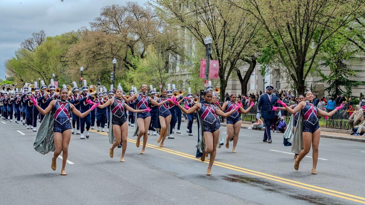 'In Excellence': Pebblebrook Marching Band Performs in Cherry Blossom ...