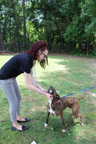 Cobb animal shelter overflowing with adoptable animals | Local News ...