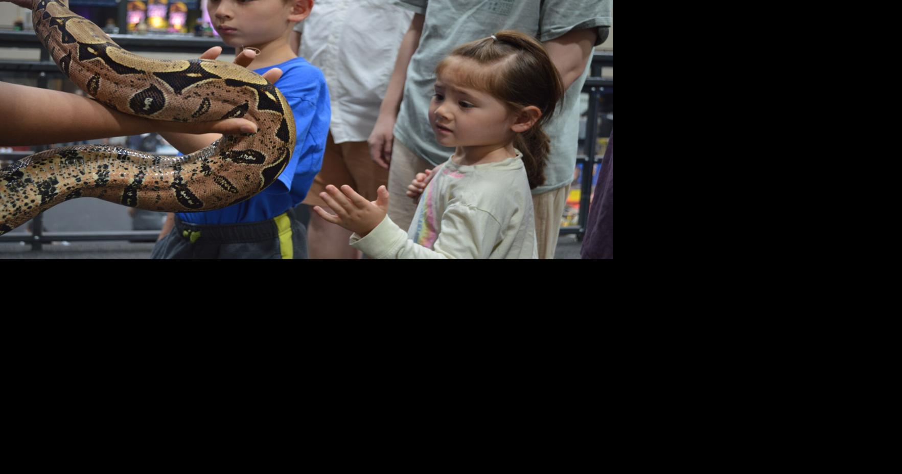 Reptile enthusiasts congregate at Cobb Civic Center | Local News ...
