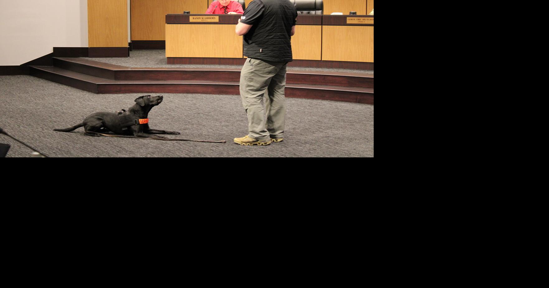 Sniffing Out Trouble: Cobb Schools Bet on K-9s for Safety | Education ...