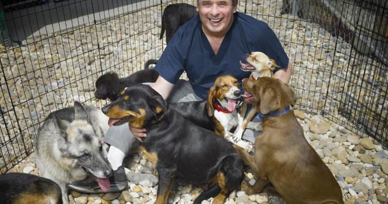 Dr. Michael Good, fierce animal advocate and community vet, dies at 67 ...