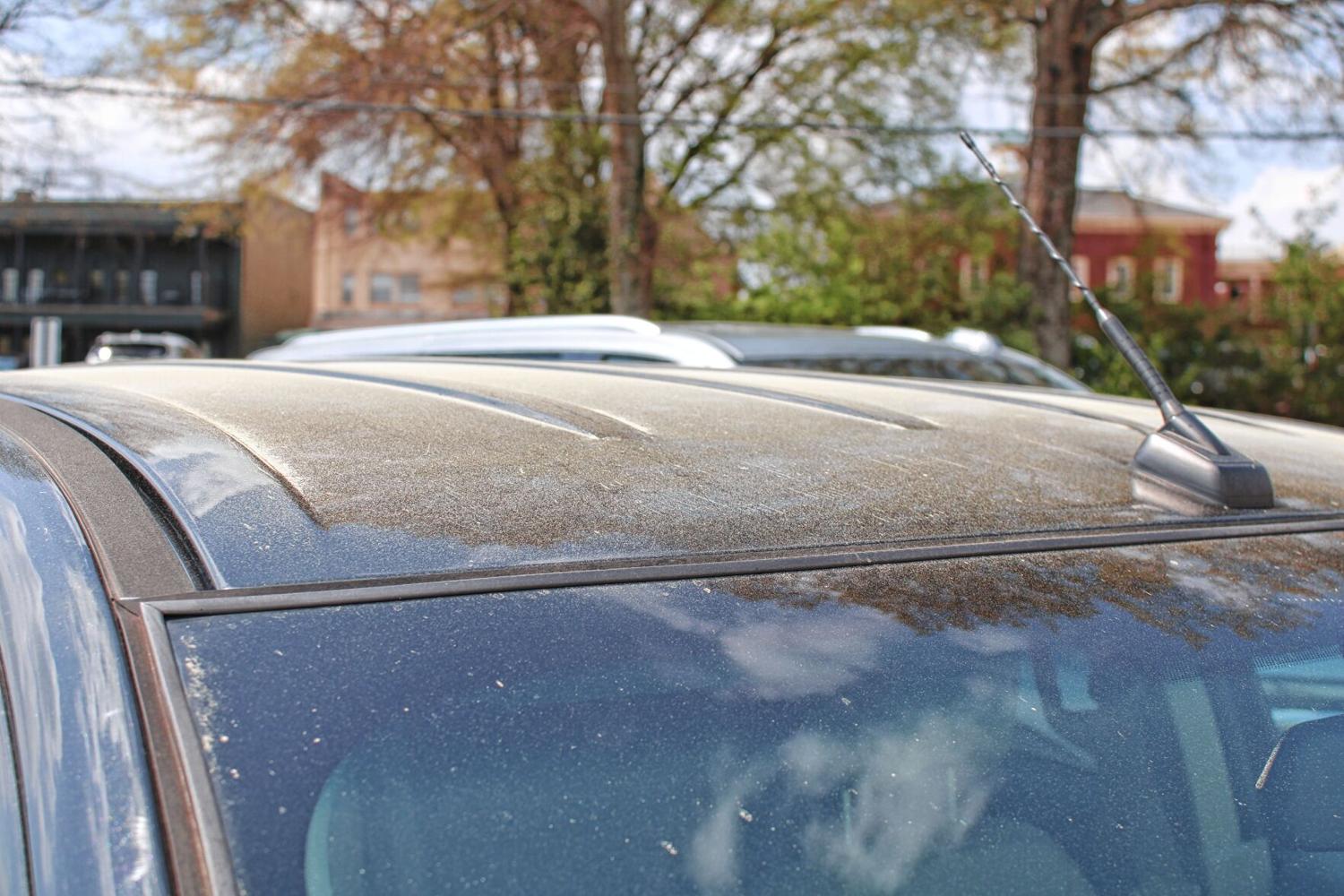‘Season of the yellow dust’: Metro Atlanta sees major spike in pollen ...