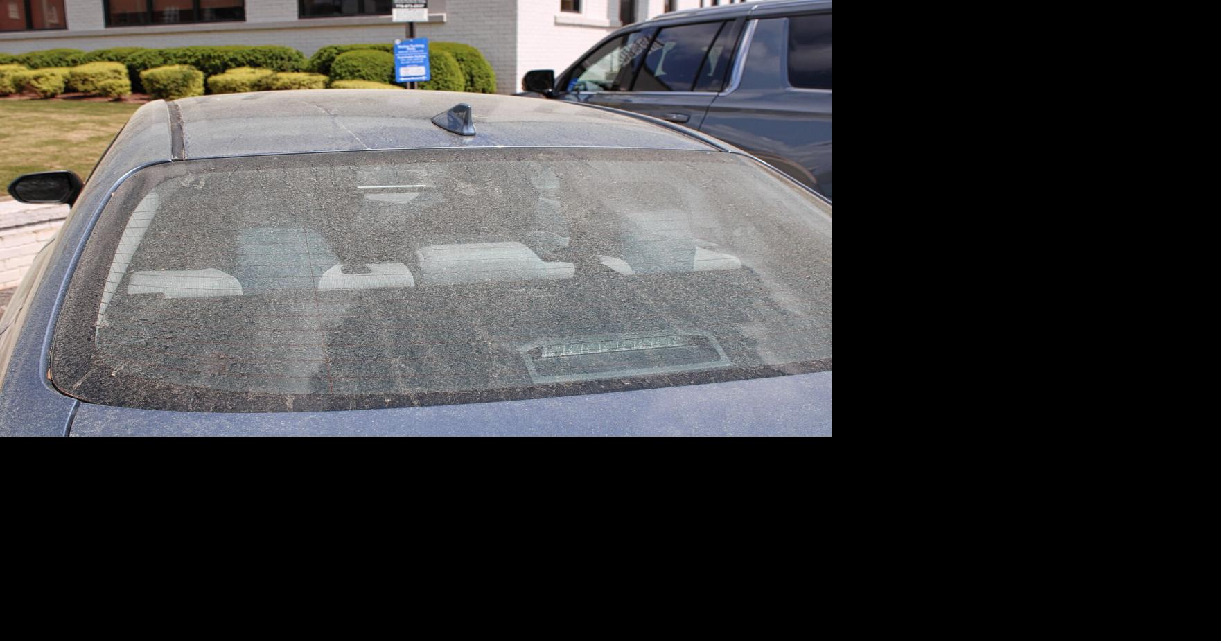 ‘Season of the yellow dust’: Metro Atlanta sees major spike in pollen ...