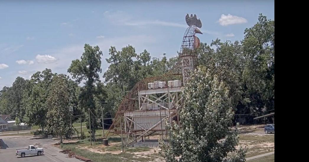 The bigger chicken sees political fallout | News | mdjonline.com