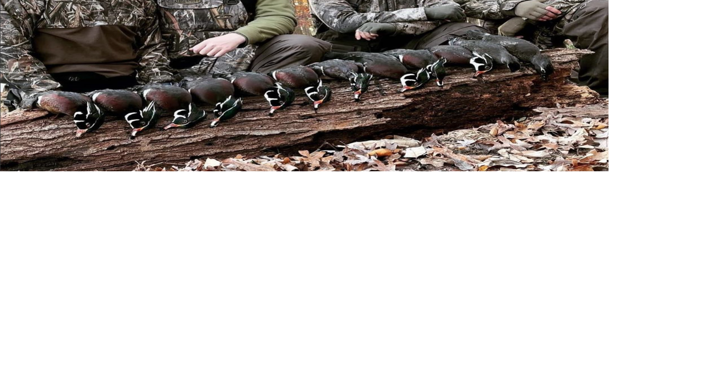 Waterfowl Hunters: Duck Season Opens Nov. 18 | Lifestyle | mdjonline.com