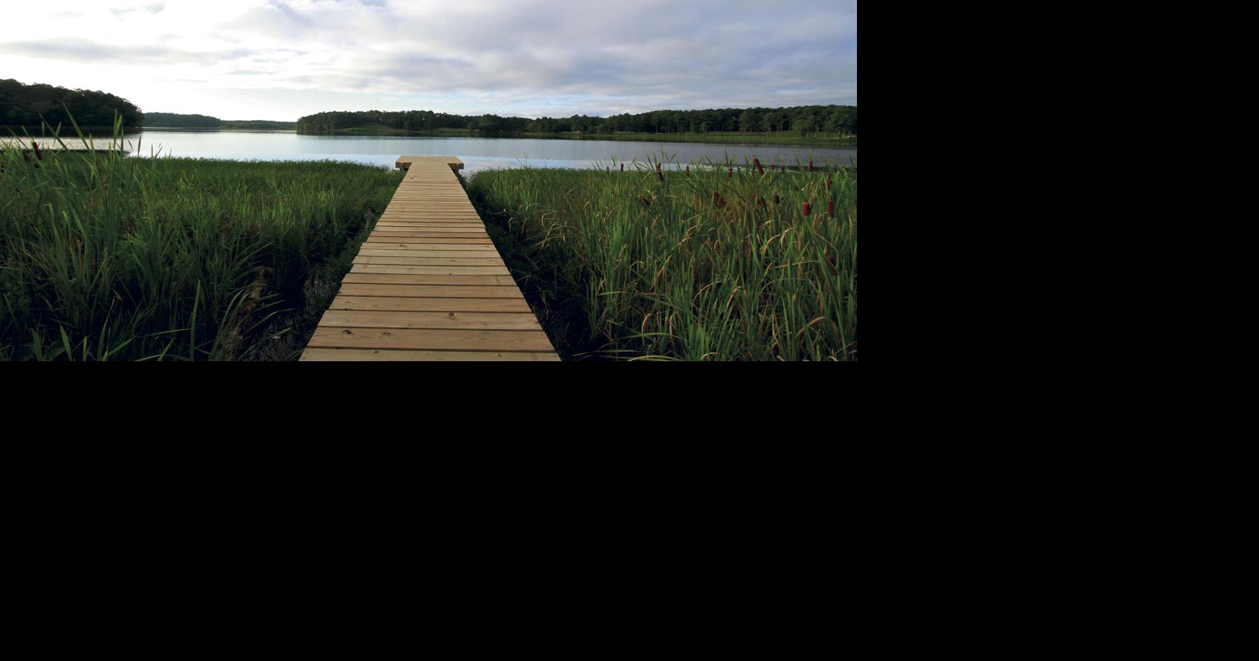 Everything you need to know about 4 of Cobb’s best fishing spots | Cobb ...