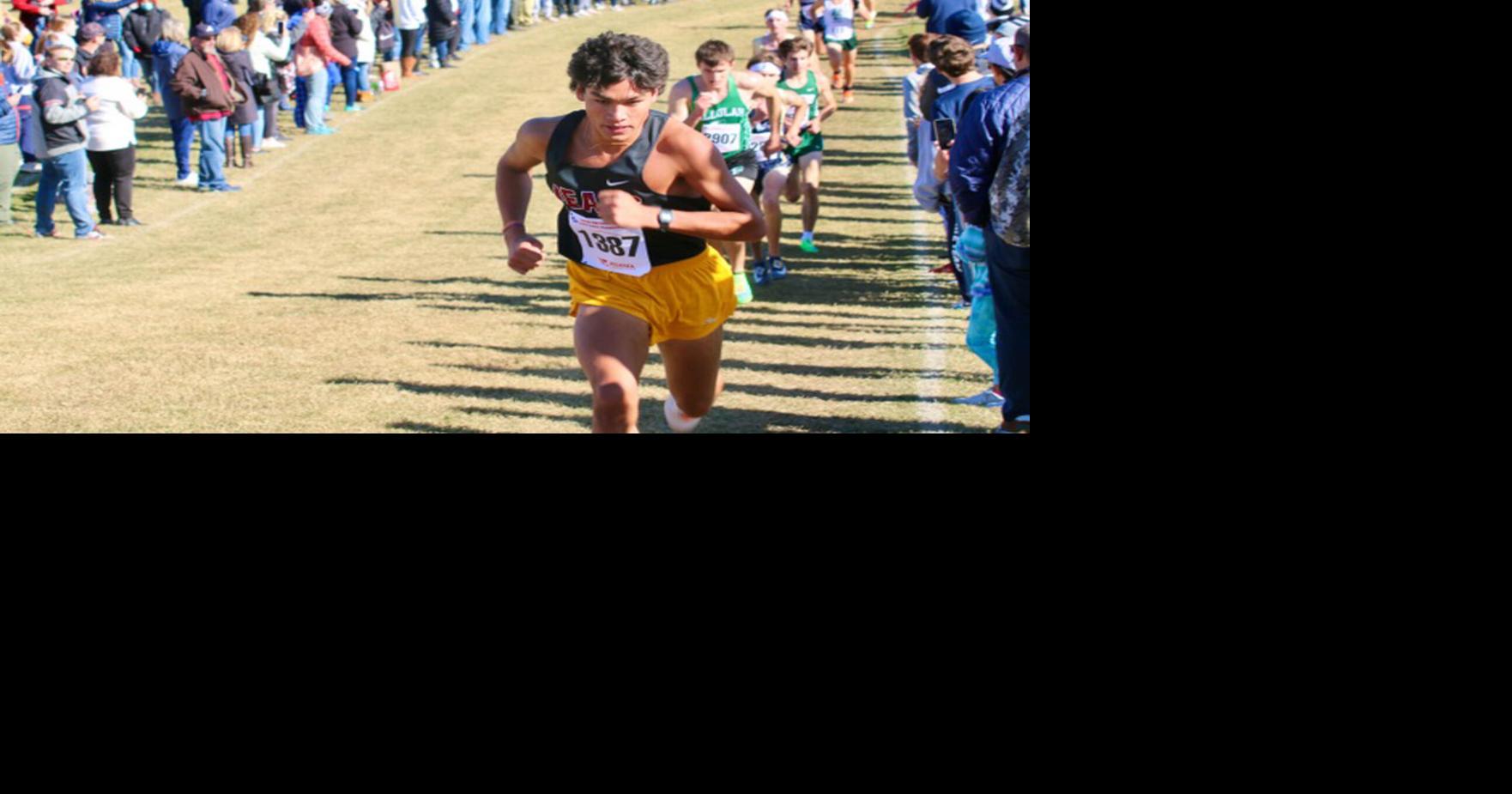 Northside cross country teams, runners aim for titles at state meet ...