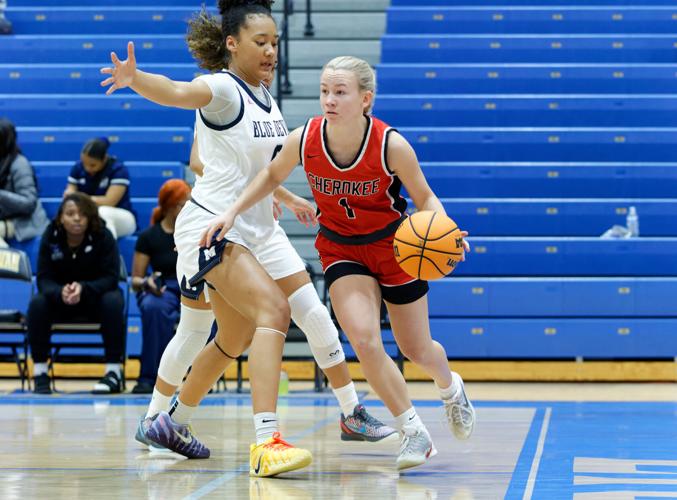 Warriors jolt Blue Devils in region semis | Sports | mdjonline.com