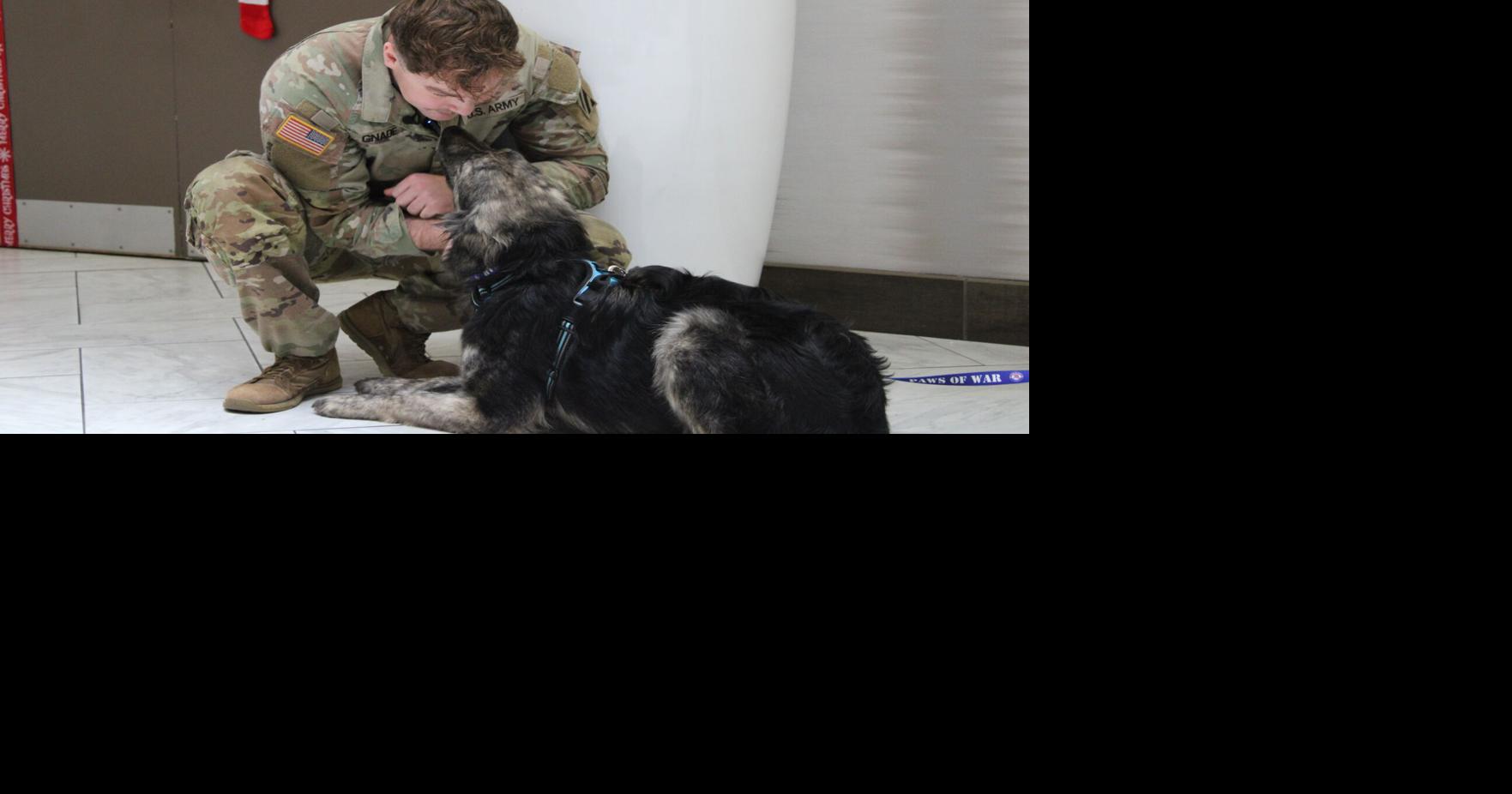 Soldier Reunited with Dog He Met While Deployed Overseas | Local News ...