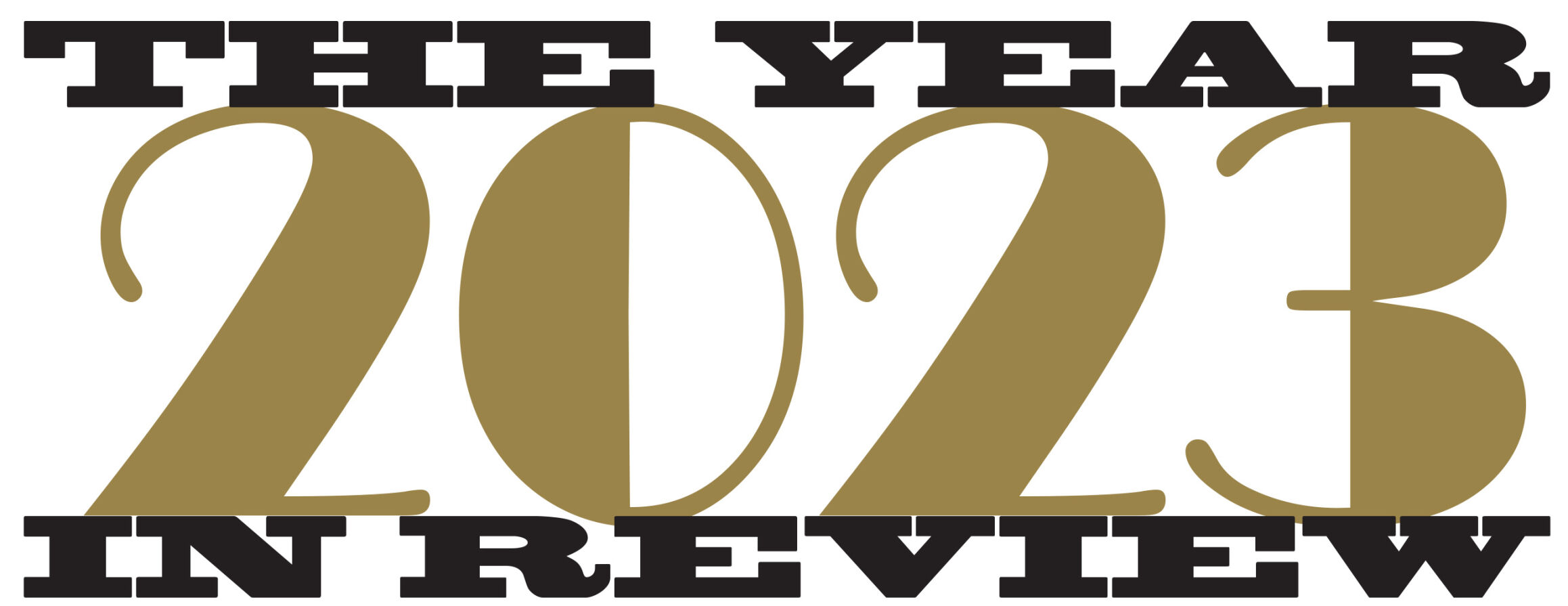 No. 2: Democratic Cobb Commissioners Defy State by Drawing Their Own ...