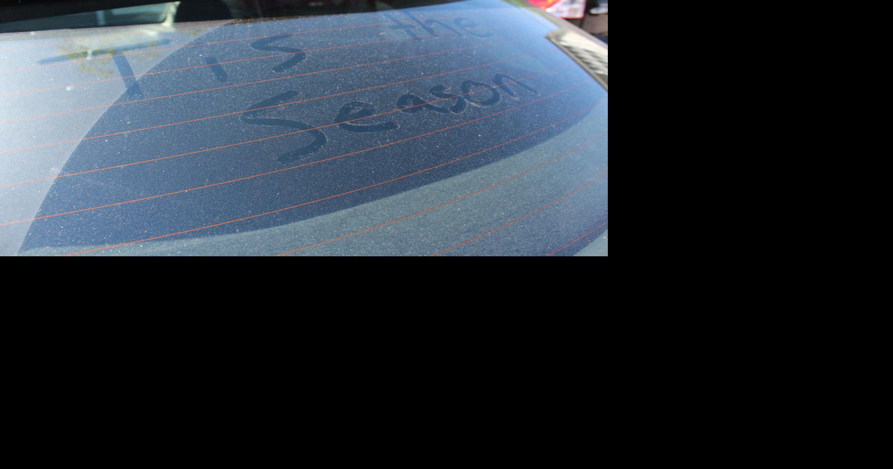 Metro Atlanta pollen count 'extremely high' | Local News | mdjonline.com