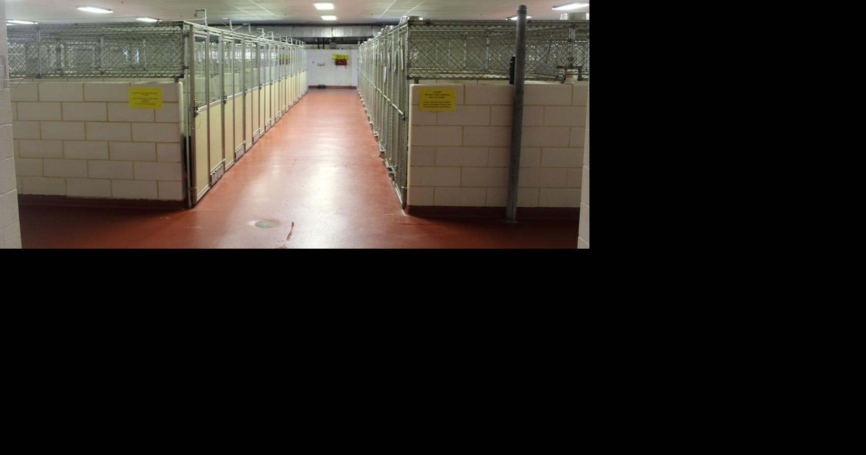 Cobb animal shelter to reopen | News | mdjonline.com