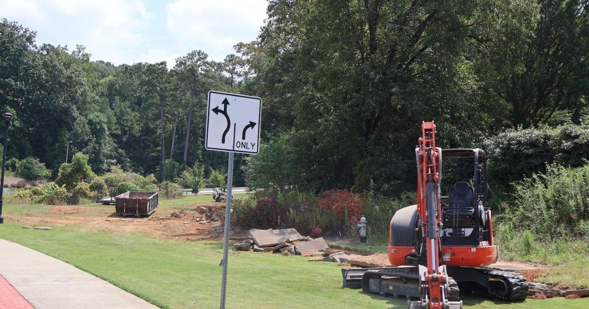 Lanie Park Construction Progress | Lifestyle | mdjonline.com