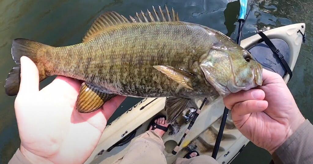 Plan for a slam, a Georgia Bass Slam, in 2024 | Lifestyle | mdjonline.com