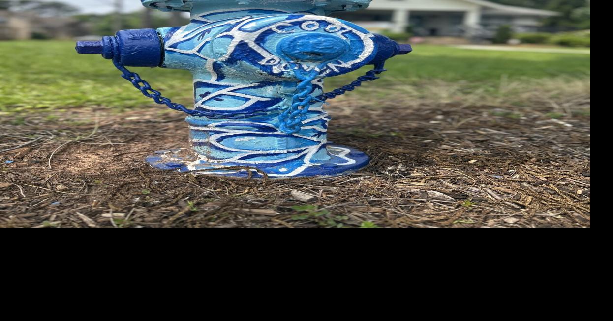 Smyrna Adds a Splash of Color with Painted Fire Hydrants | Lifestyle ...