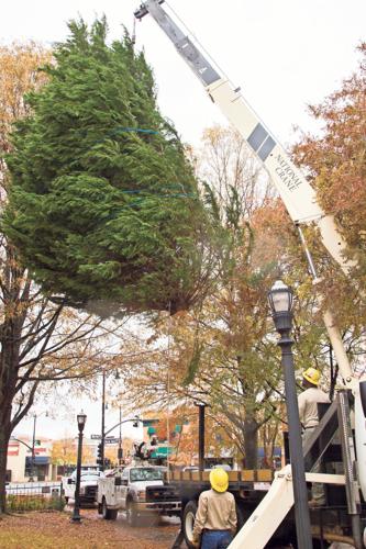 Sprucing up the Square: Marietta to have Christmas tree-lighting ...