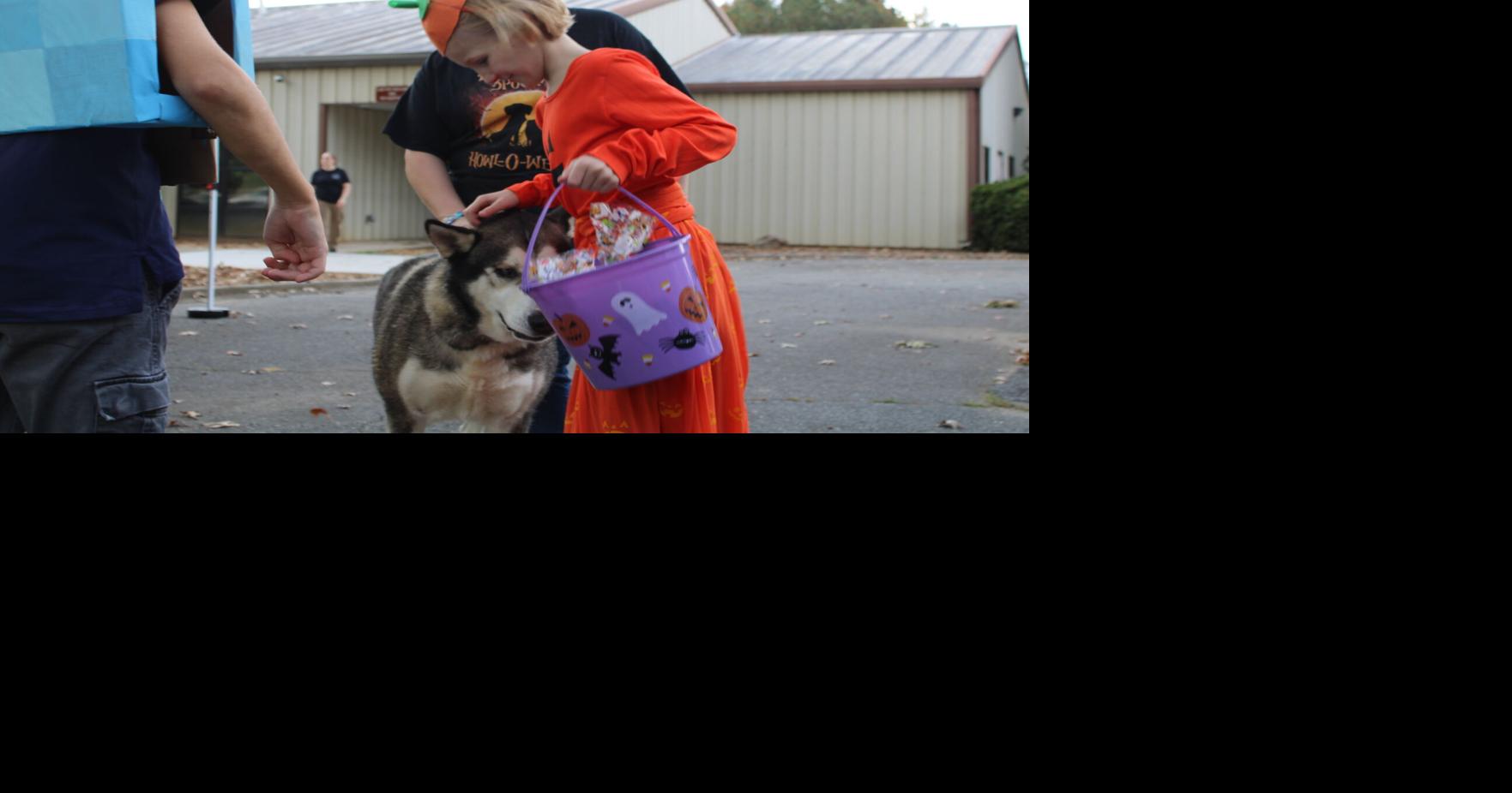 Tricks and Treats: Cobb Animal Services Hosts Halloween-Themed Adoption ...