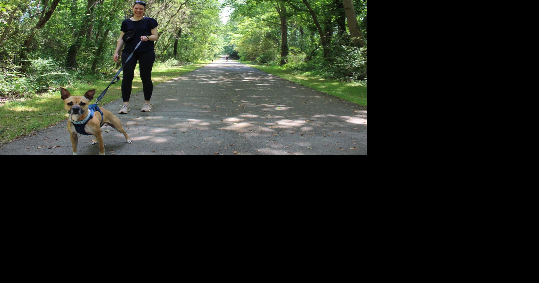 Cobb commission approves $7.8M Silver Comet Trail connector | Local ...