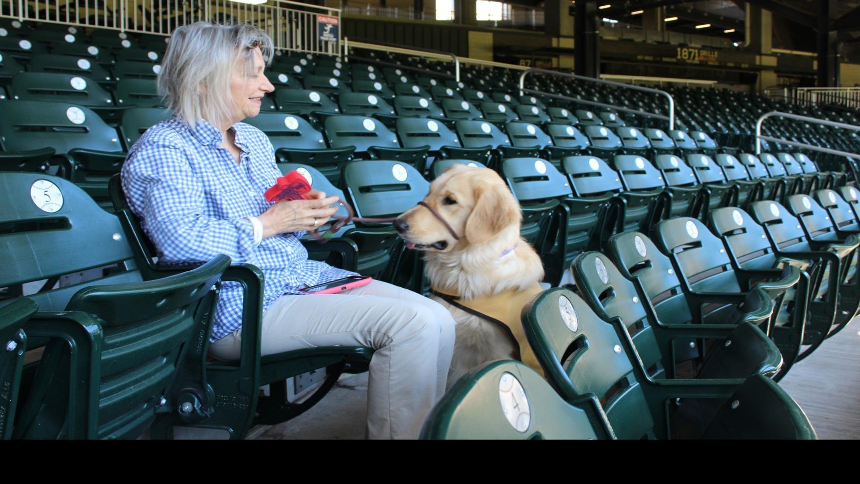 Puppies in the park: Future guide dogs visit Braves stadium | News ...