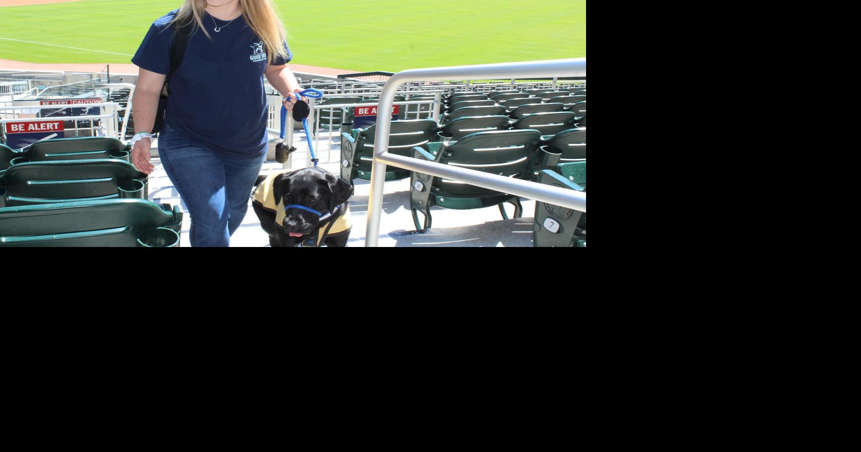 Puppies in the park: Future guide dogs visit Braves stadium | News ...