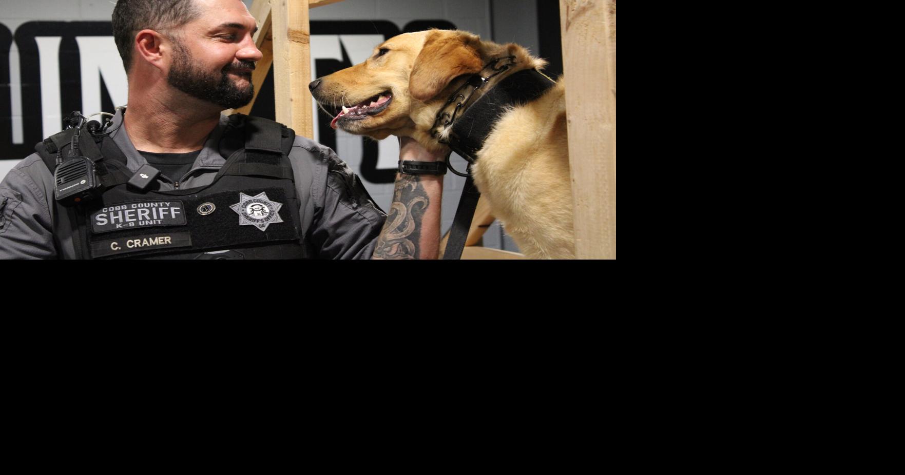 Cobb Sheriff's Office Welcomes Electronic Detection K-9 | News ...