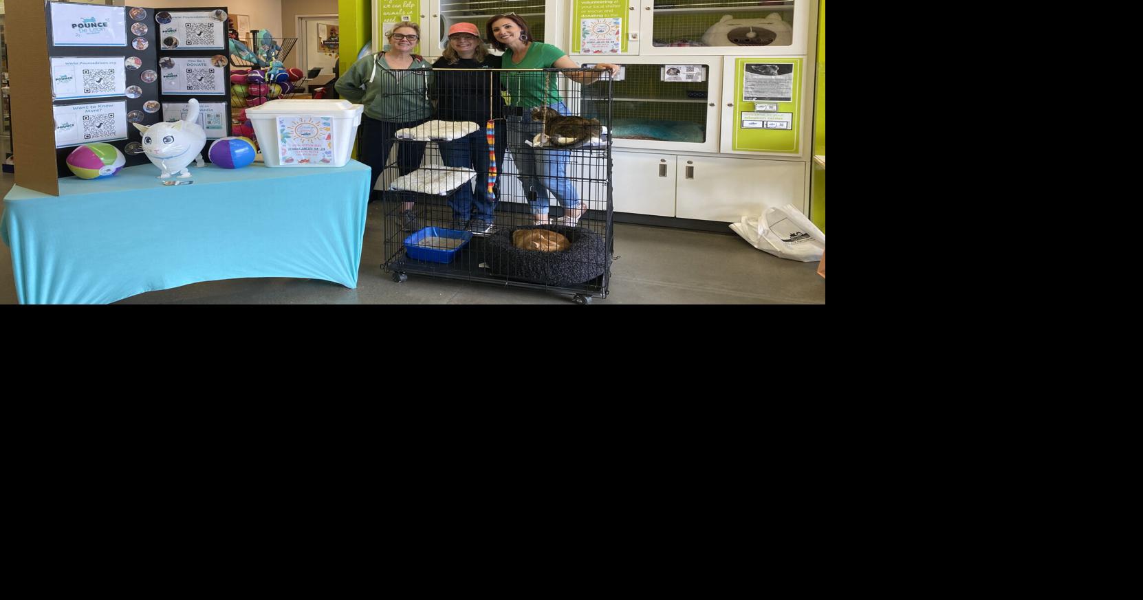 Pounce de Leon Helps Cats Find Forever Homes | Lifestyle | mdjonline.com