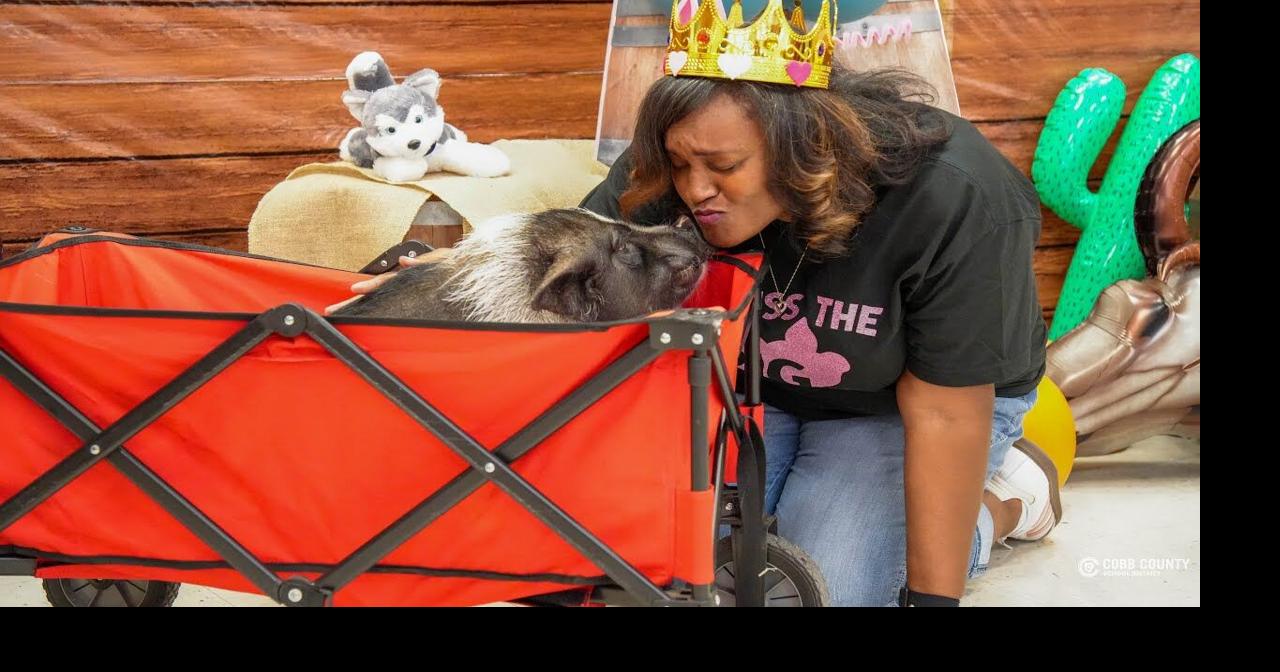 Pucker Up! Kiss the Pig event helps raise thousands for Nickajack ...