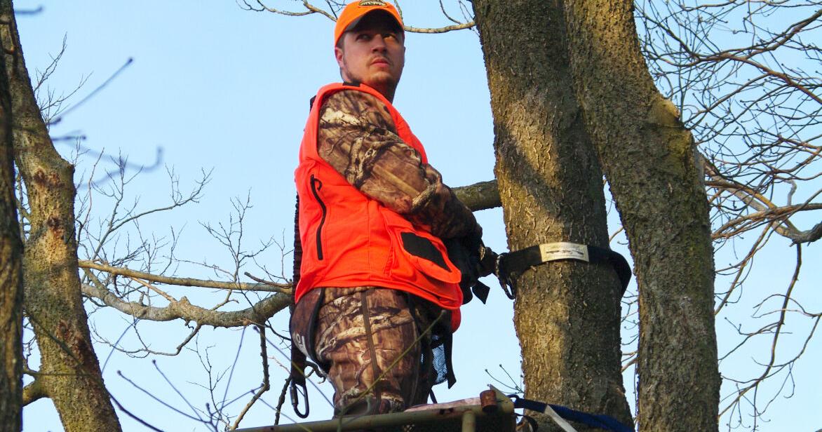 Hunters: Review tree stand safety before heading to the woods ...