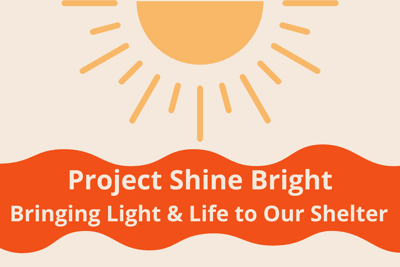 LiveSafe Resources launches Project Shine Bright | Lifestyle ...