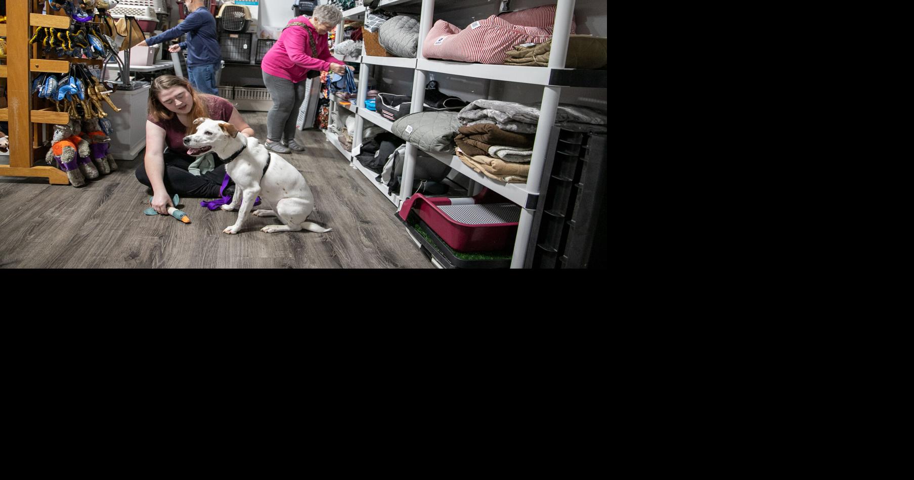 Mostly Mutts Market opens in Acworth | Cobb Business Journal ...