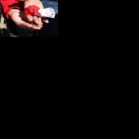 Story behind the poppy | Features | messagemedia.co