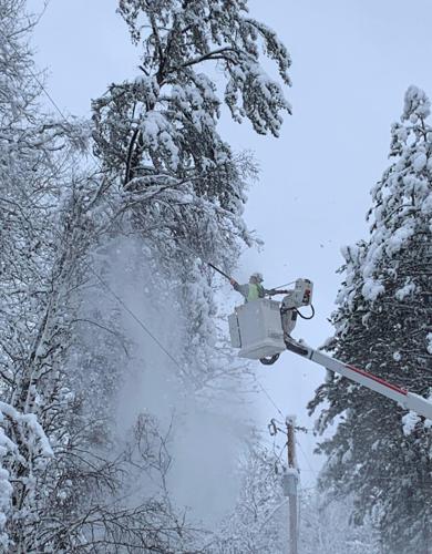 Powerless against mother nature | Local | messagemedia.co