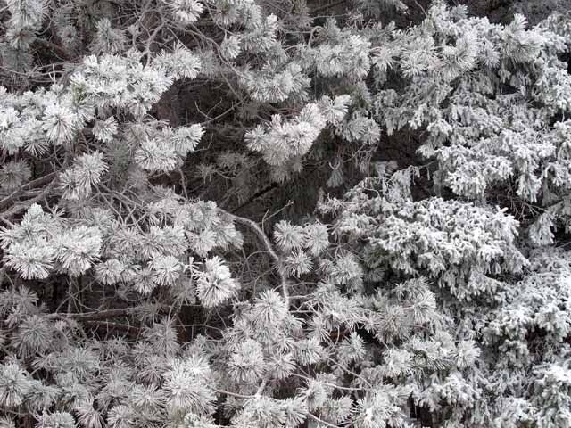 Waiting for winter | Columns/Blogs | messagemedia.co