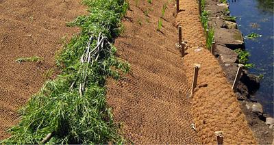 Do-it-yourself projects for shorelines | Outdoors | messagemedia.co