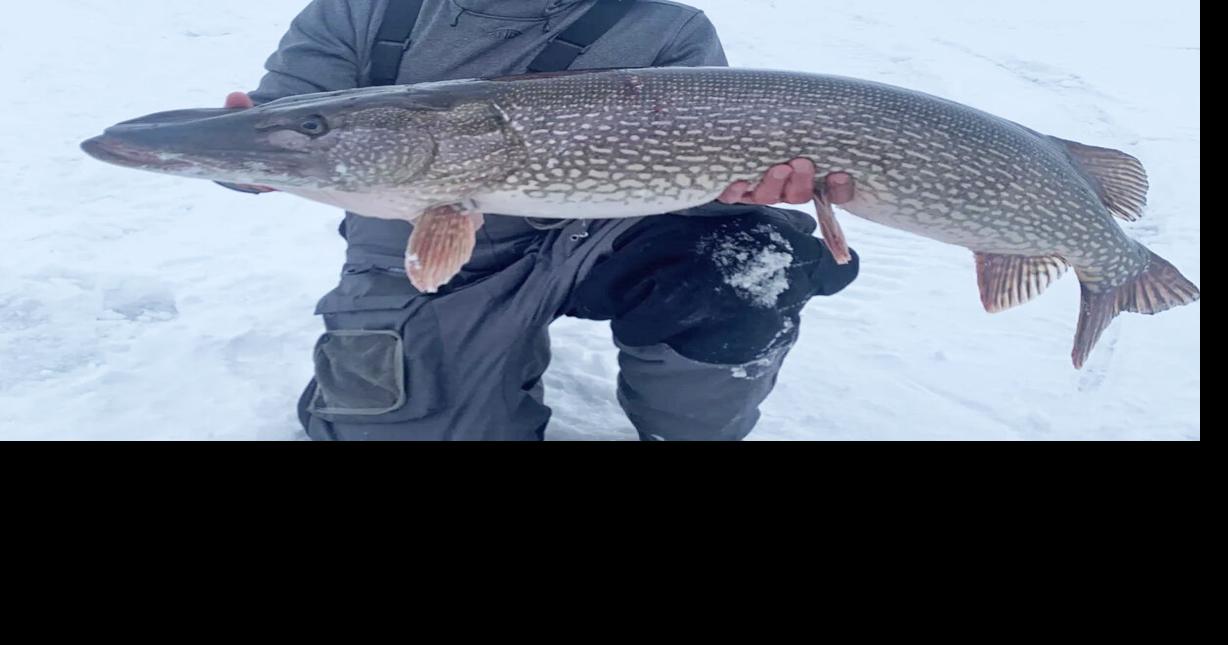 Massive Mille Lacs northern ties state catch and release record | Mille ...